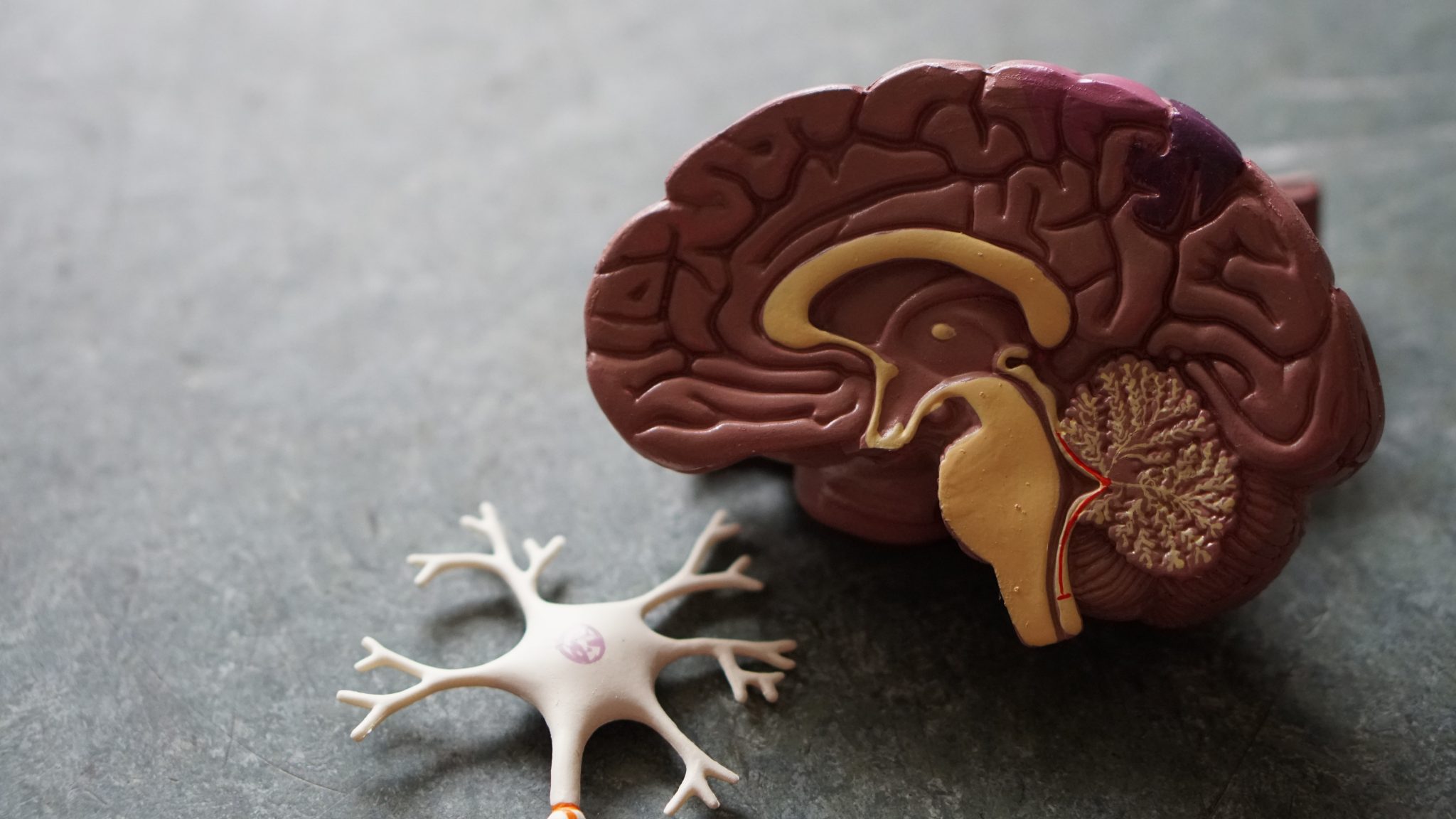 Mechanisms of action – Acupuncture and neurotransmitters in the body ...